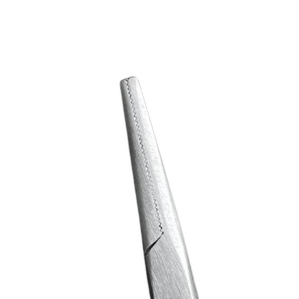 Steel Hemostat Forceps - Isha Body Jewellery